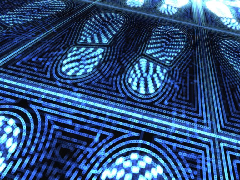 What's A Digital Footprint? Your Invisible Trail Online