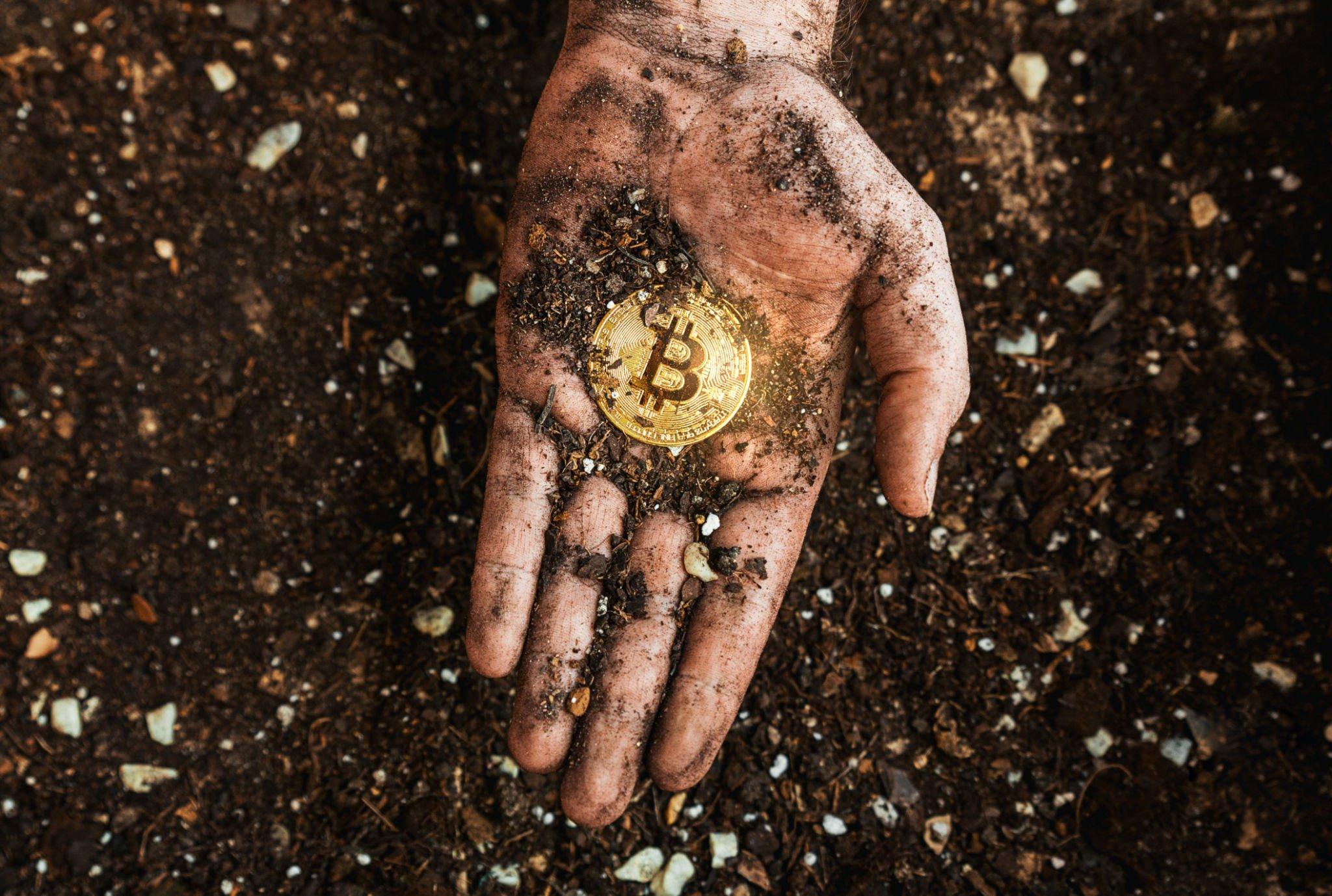 Best Bitcoin Miner: Top Picks For Efficient Cryptocurrency Mining ...